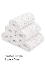 The polymer clay : Plaster and Casting for any plaster project